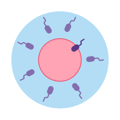 In Vitro Fertilization Services in San Francisco & Sacramento | Kaiser ...